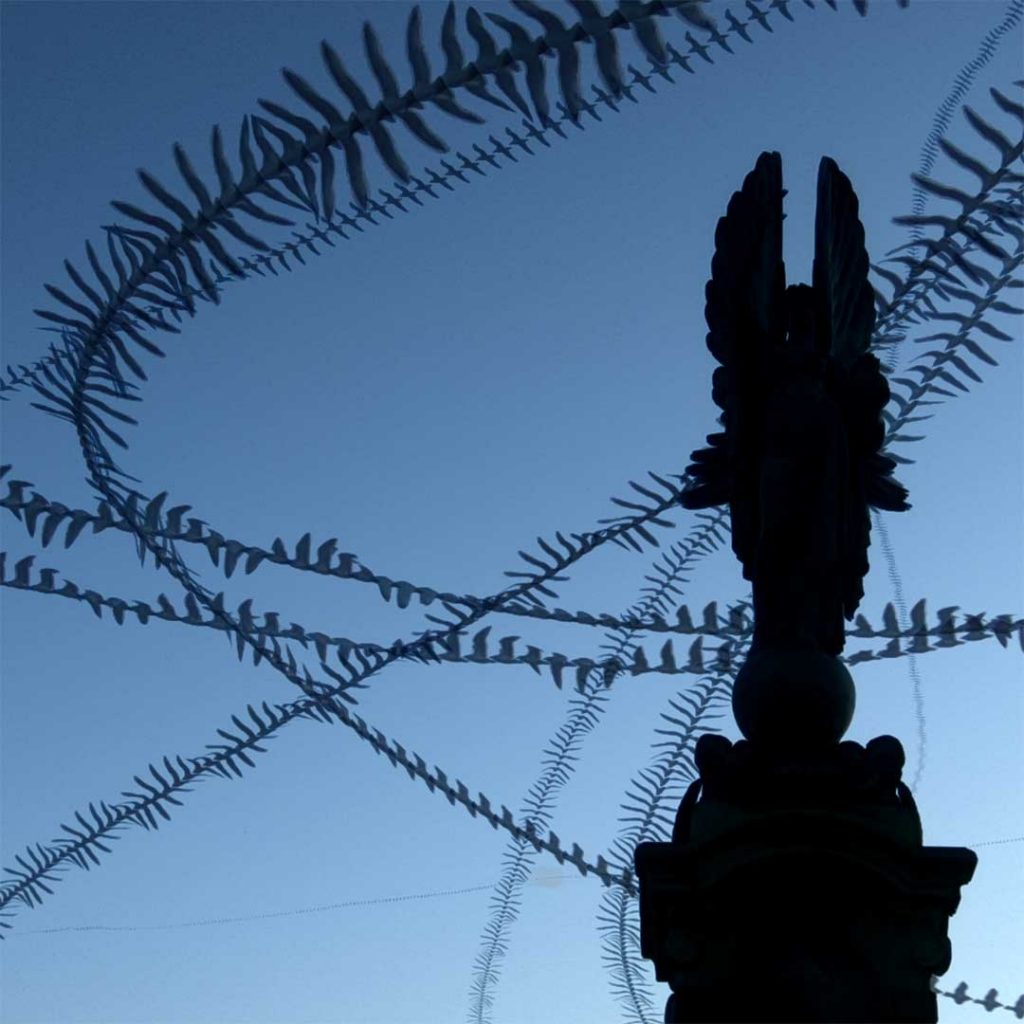 Algorithmic Photography - Alex May