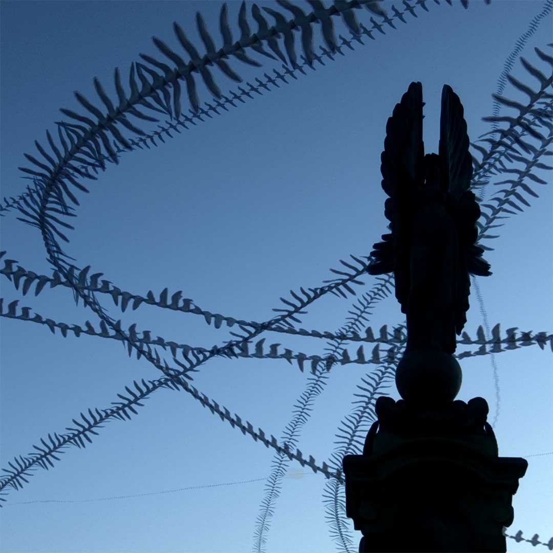 Algorithmic Photography – Alex May: Digital Artist